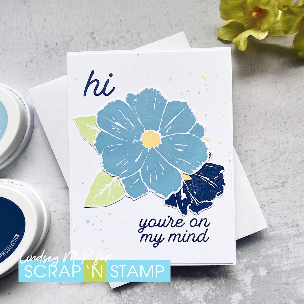 Add a Little Splatter! | Scrap N Stamp