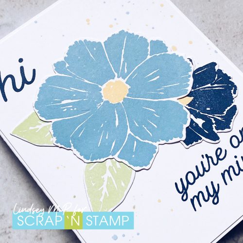 Add a Little Splatter! | Scrap N Stamp