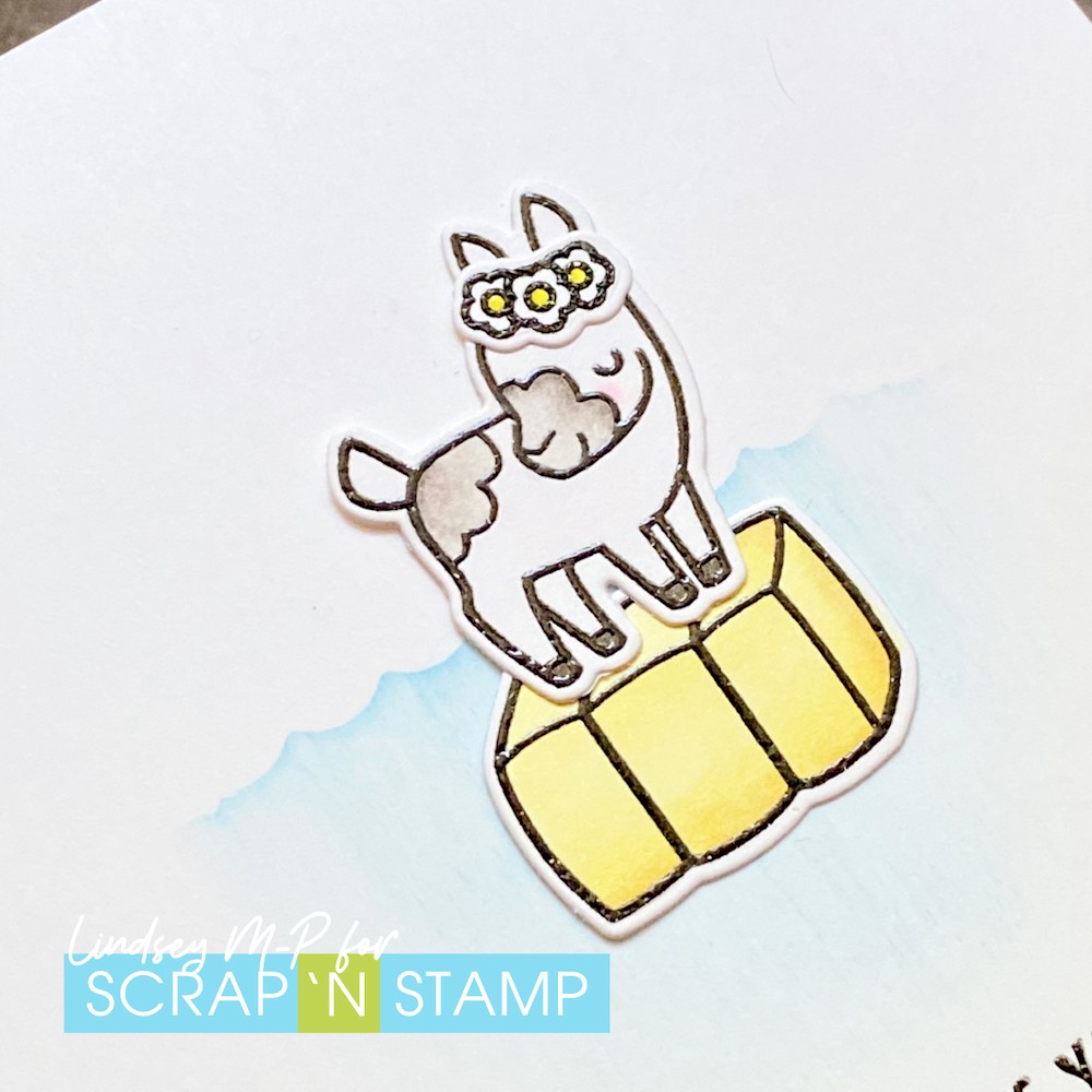 Scrap 'n Stamp Canada